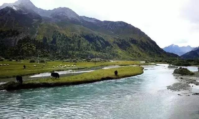 被印度侵占的藏南, 到底有多漂亮?|察隅|墨脱|印度_新浪新闻