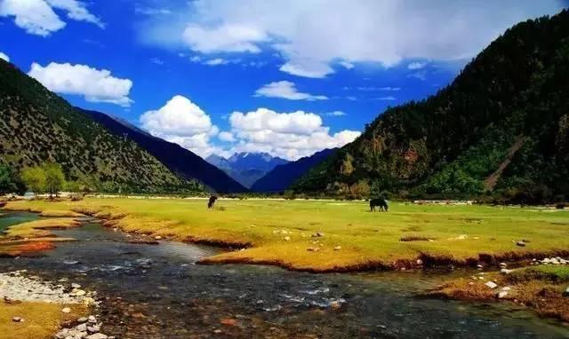 被印度侵占的藏南, 到底有多漂亮?|察隅|墨脱|印度_新浪新闻