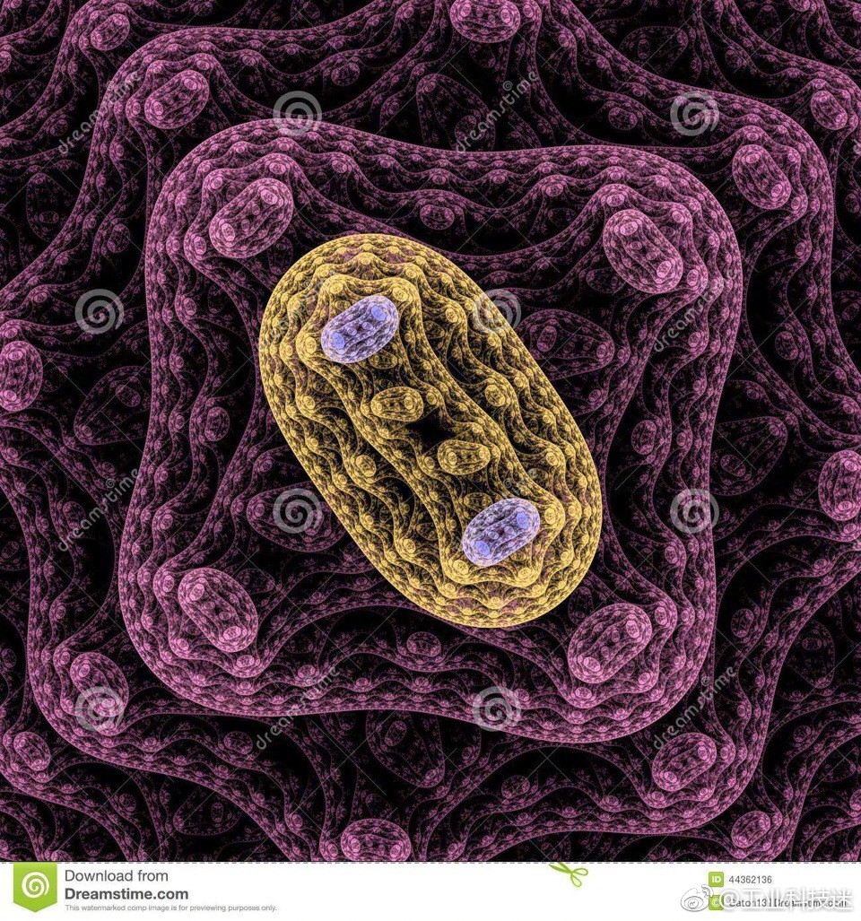 显微镜下的世界：细菌|显微镜|细菌|世界_新浪新闻