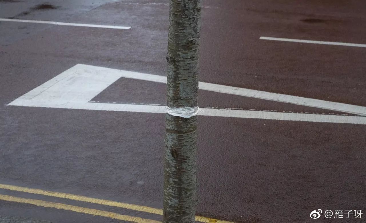 摄影师Denis Cherim是一位长期致力于寻找各种巧合的艺术摄影师|摄影师|巧合|行走|题材|拍摄_新浪新闻