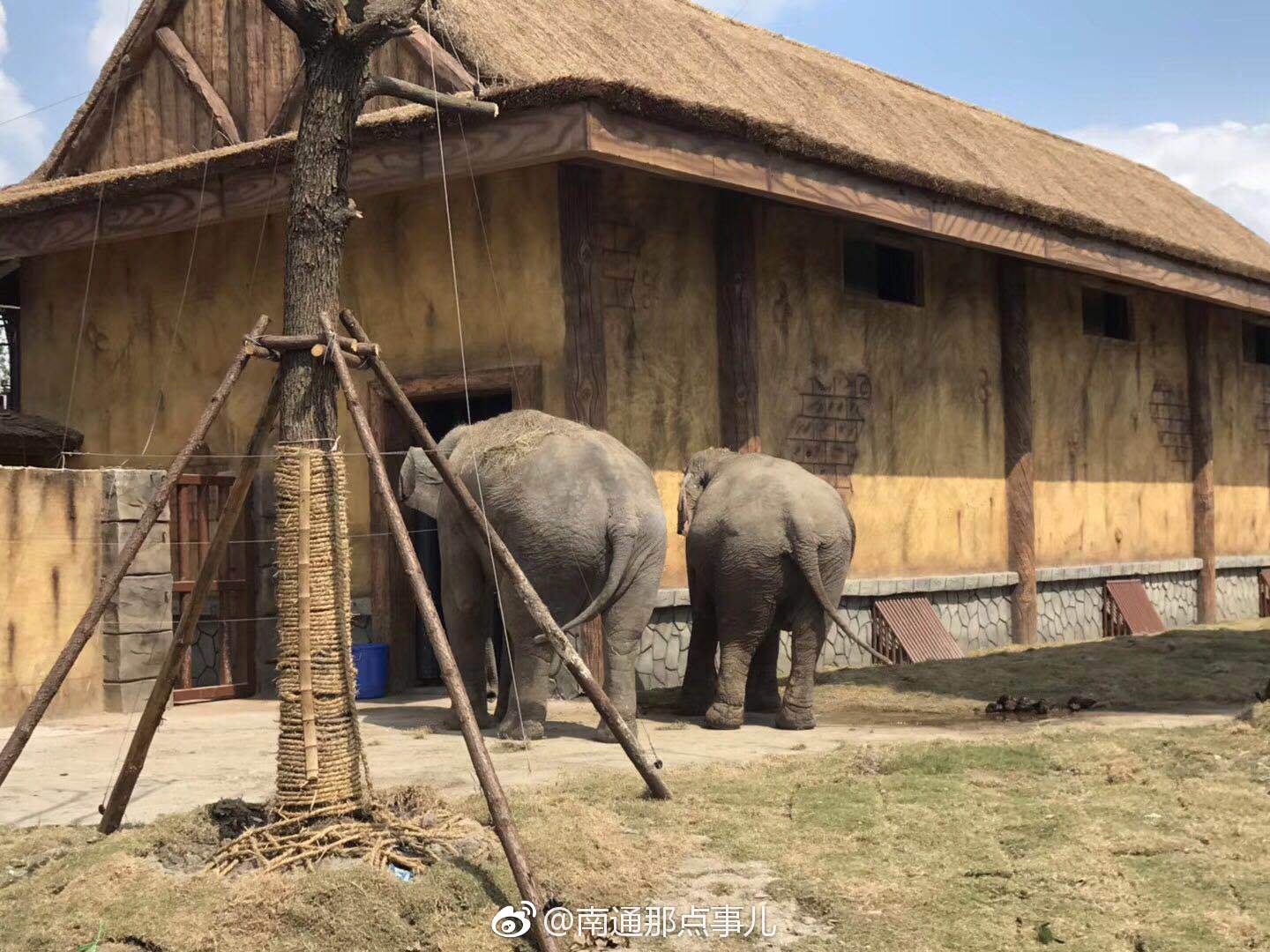 南通野生动物园游玩小结：75块不亏，100还能接受，150就是抢钱了