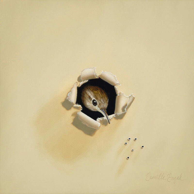 Camille Engel 呼之欲出的小鸟 | 惟妙惟肖的写实油画 |写实|小鸟|油画_新浪新闻