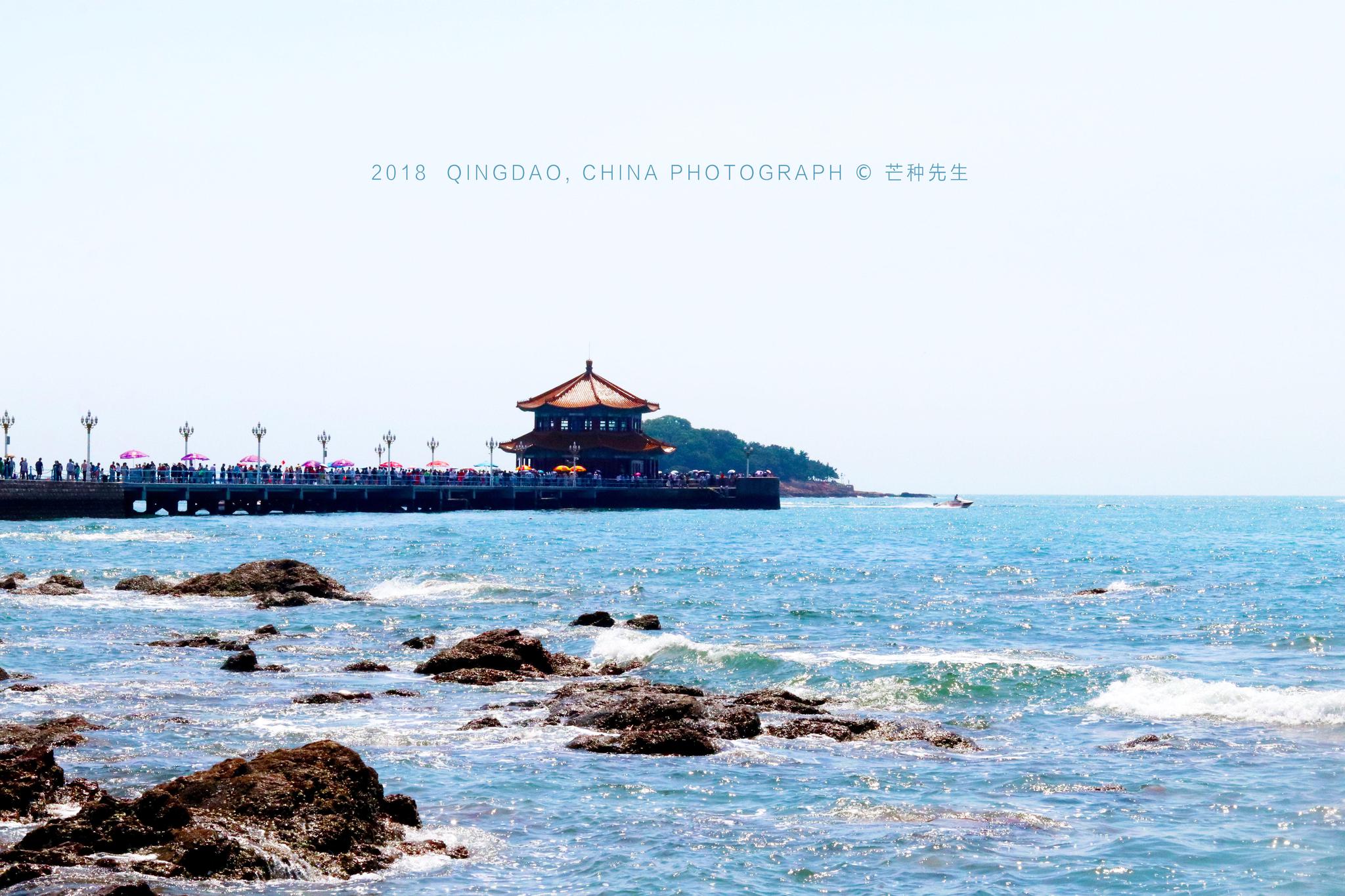 这个秋天，青岛的海如此的美！|青岛|大海|海风_新浪新闻