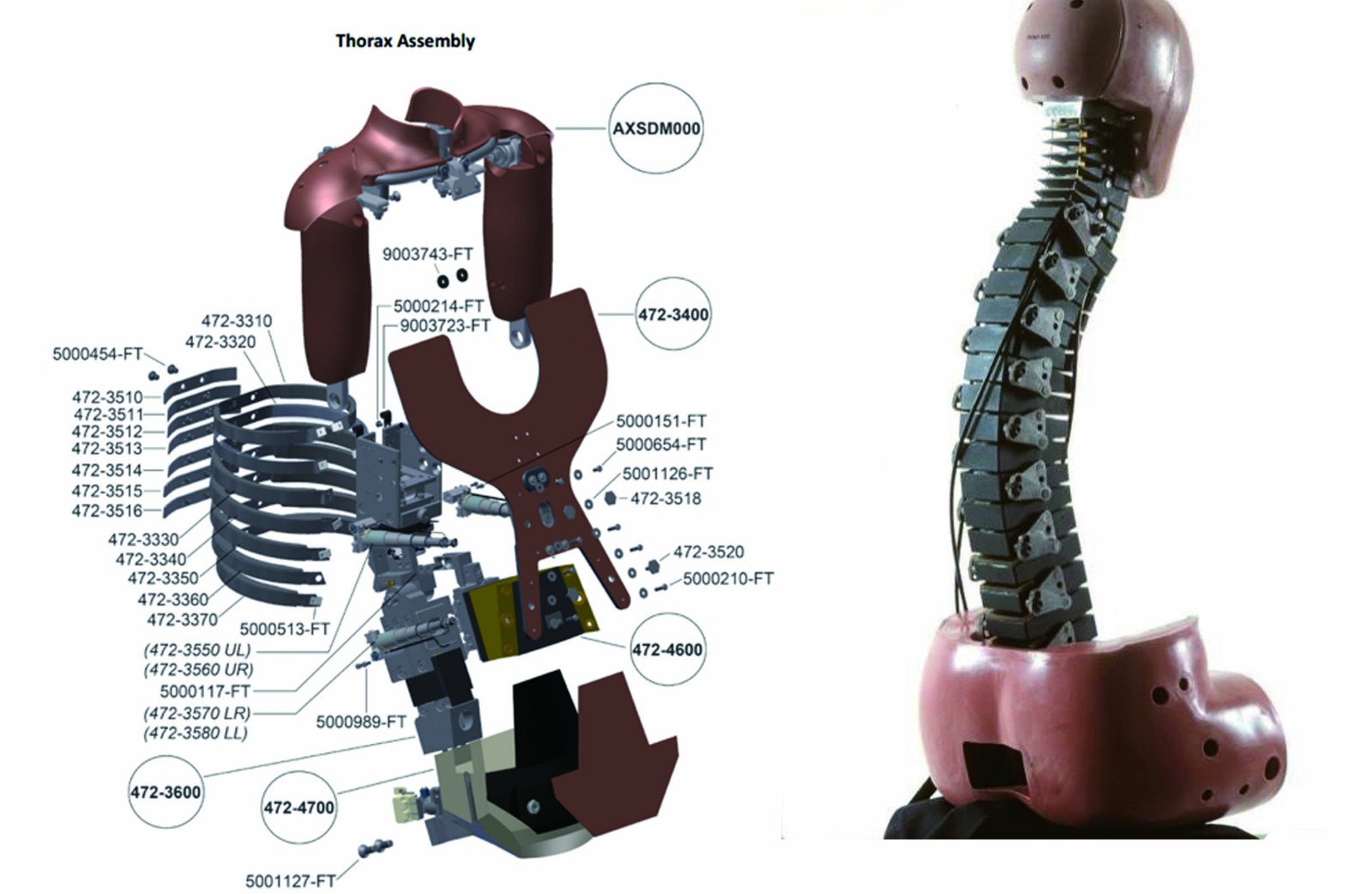 你知道吗？汽车碰撞测试中使用的假人，比车还贵！-新浪汽车