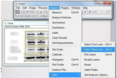 多功能的免费科研图片处理工具：Image J|ImageJ|图像|插件_新浪新闻