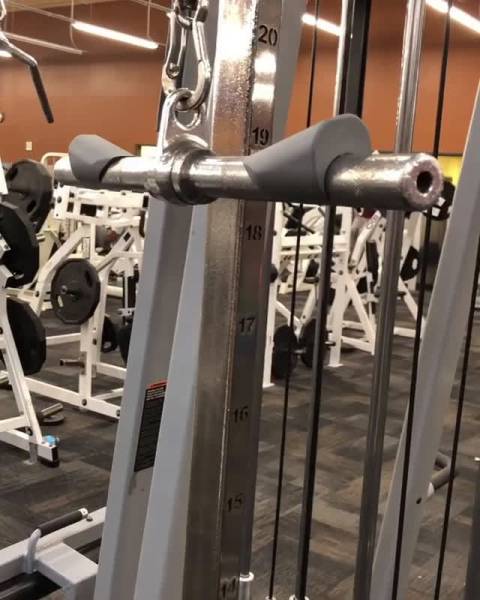 Shanique Grant的最新肱三头肌训练。|肱三头肌|训练_新浪新闻