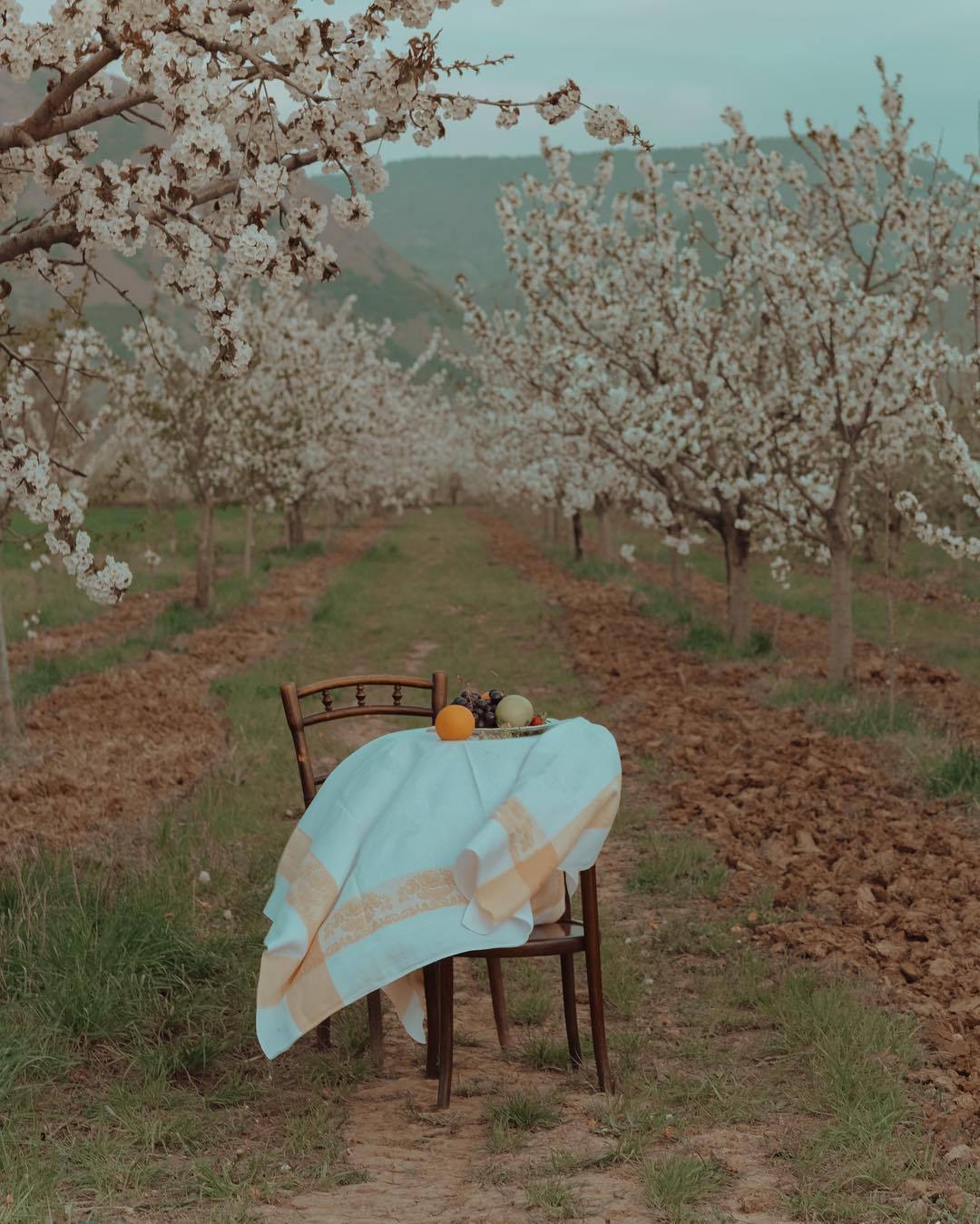 Vasjen Katro，是一位来自阿尔巴尼亚的视觉设计师|阿尔巴尼亚|设计师|肖像画_新浪新闻