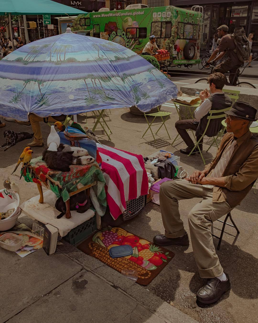 Vasjen Katro，是一位来自阿尔巴尼亚的视觉设计师|阿尔巴尼亚|设计师|肖像画_新浪新闻