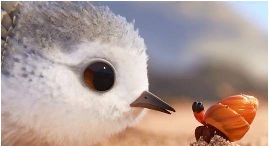 治愈系动画短片《鹬》短短几分钟，萌翻了所有人