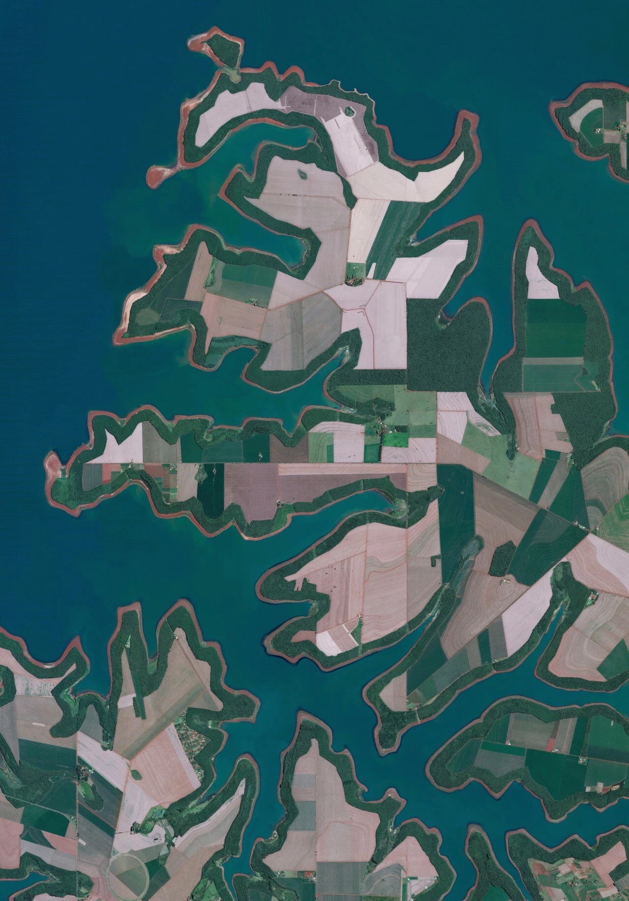 来自纽约的作家 Benjamin Grant