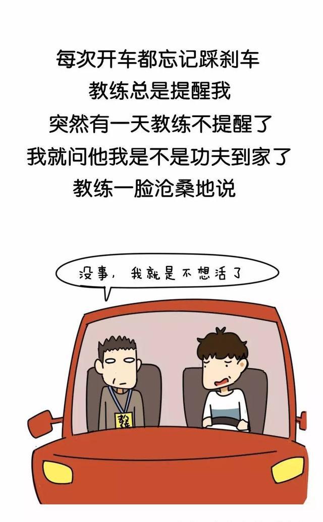 考驾照时候的搞笑事，哈哈哈！|考驾照|陨落|世界_新浪新闻