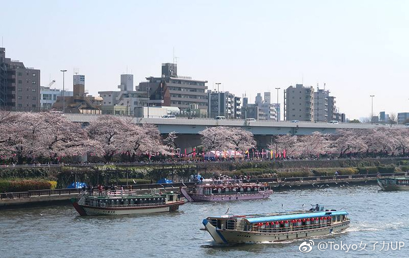 搭乘日本传统游览船畅游东京各大河川的屋形船|东京|屋形|游览船_新浪新闻