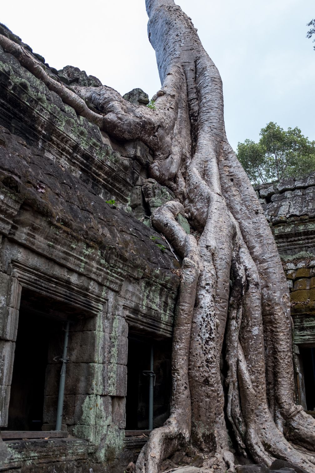 柬埔寨吴哥窟实拍，如此壮观神奇，怪不得每年百万中国游客参观