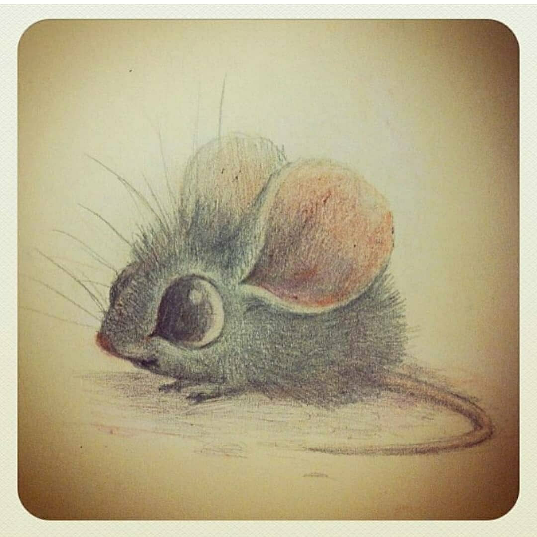 可爱小插画 | 插画师Sydney Hanson|插画师|插画|可爱_新浪新闻