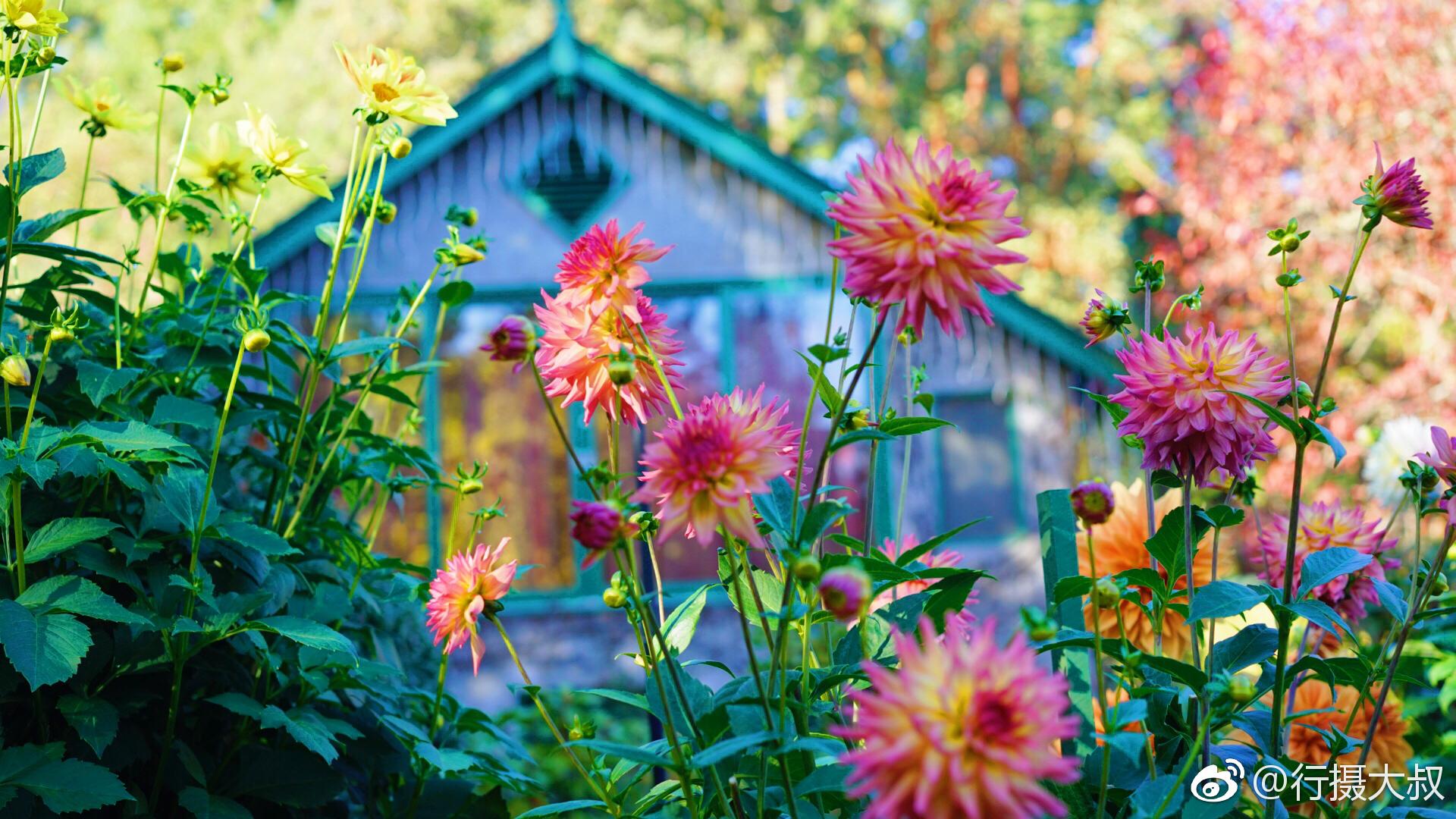 温哥华布查德花园Butchart Garden，是废墟上建起的美丽田园