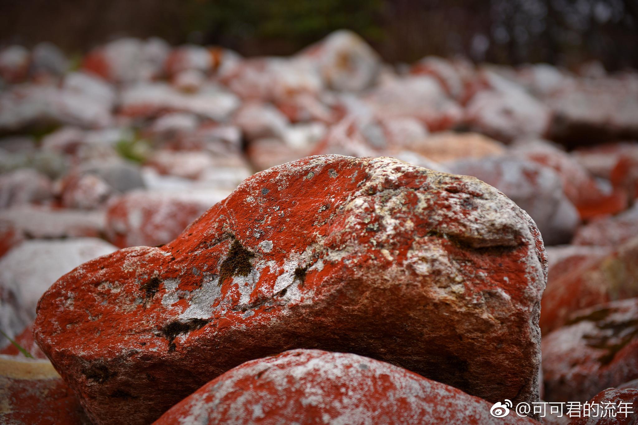曾经看到过别人拍的红石头，很幸运自己也看到了|苔藓|走道|木格措景区_新浪新闻