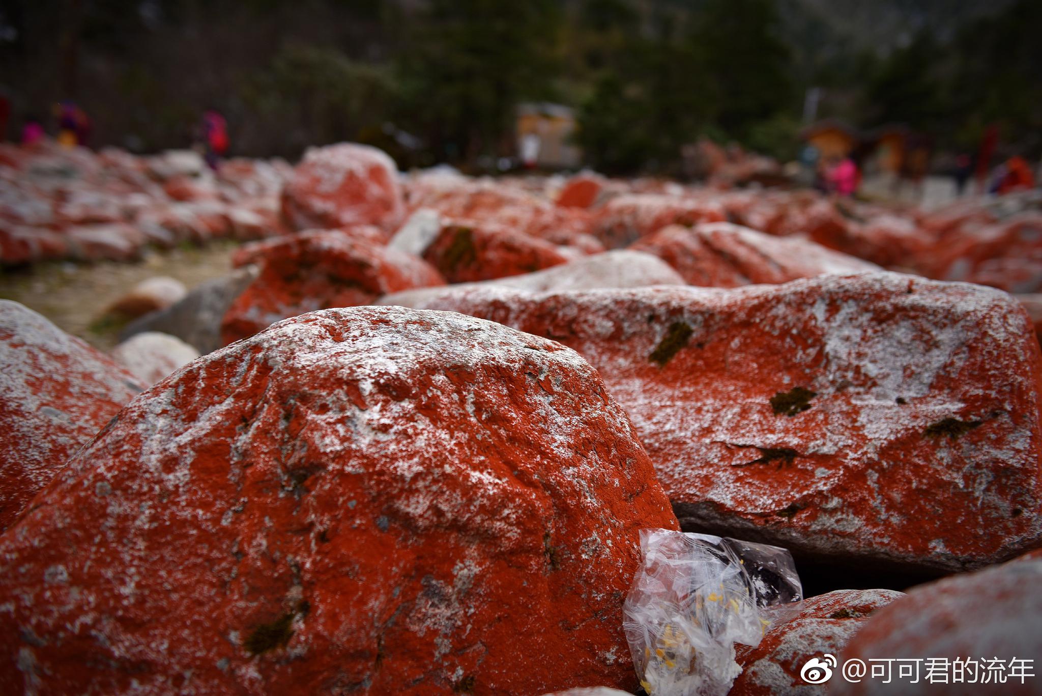 曾经看到过别人拍的红石头，很幸运自己也看到了|苔藓|走道|木格措景区_新浪新闻