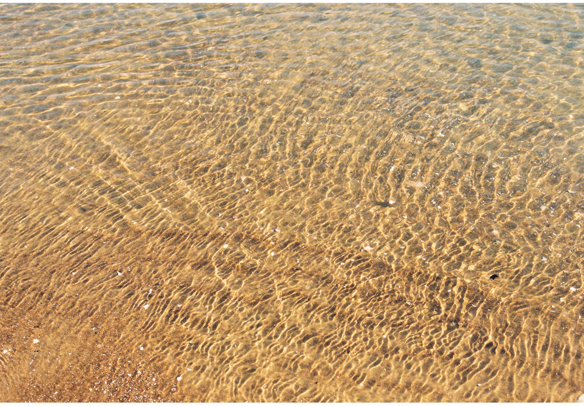 阿那亚·Aranya 推荐