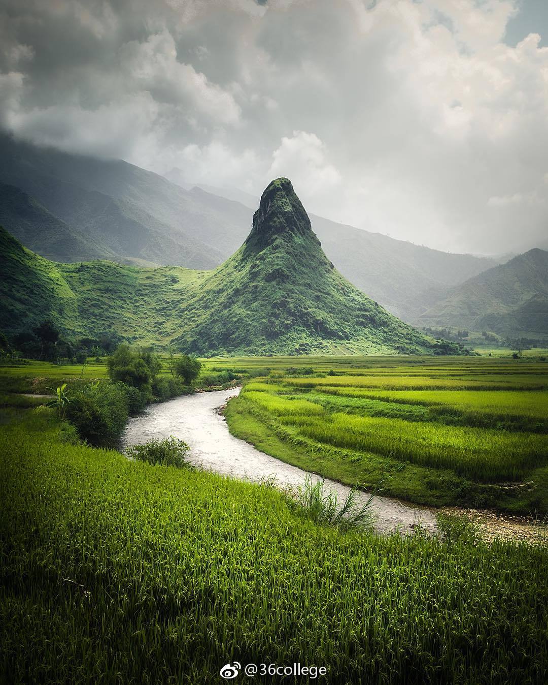 春天绿色的田野，温和的阳光温暖着我的脸 | Merve Çevik|田野|阳光|绿色_新浪新闻