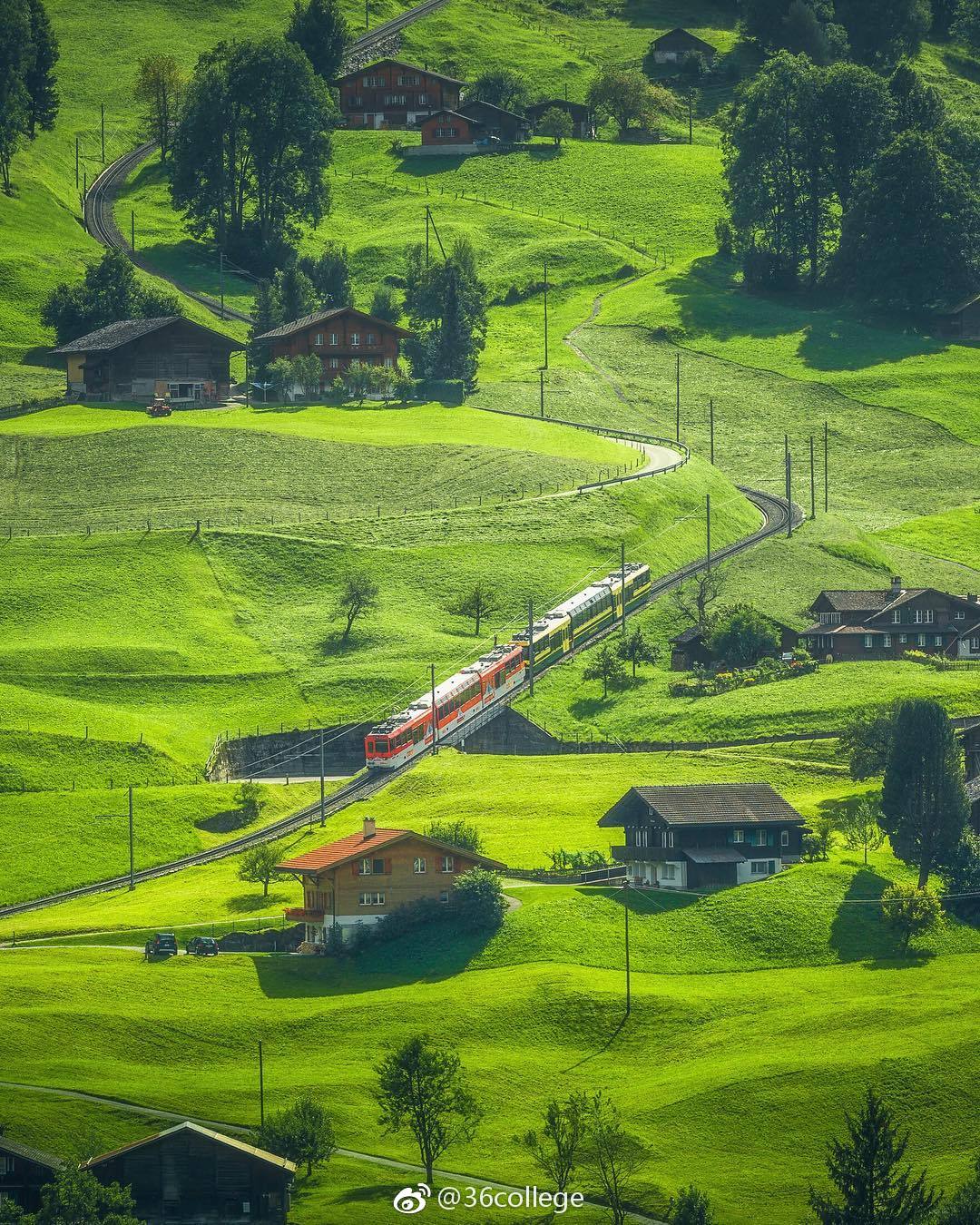春天绿色的田野，温和的阳光温暖着我的脸 | Merve Çevik|田野|阳光|绿色_新浪新闻