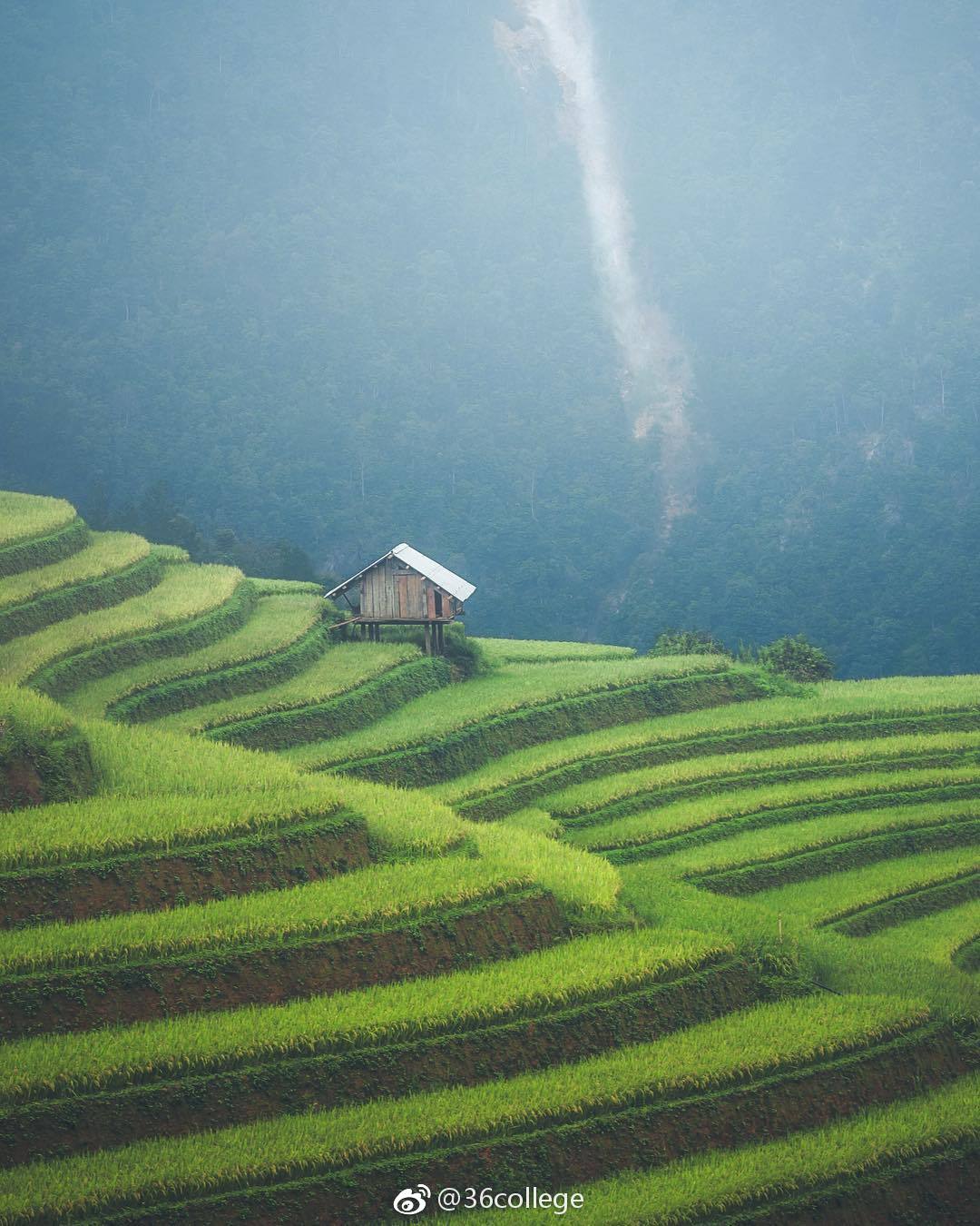 春天绿色的田野，温和的阳光温暖着我的脸 | Merve Çevik|田野|阳光|绿色_新浪新闻