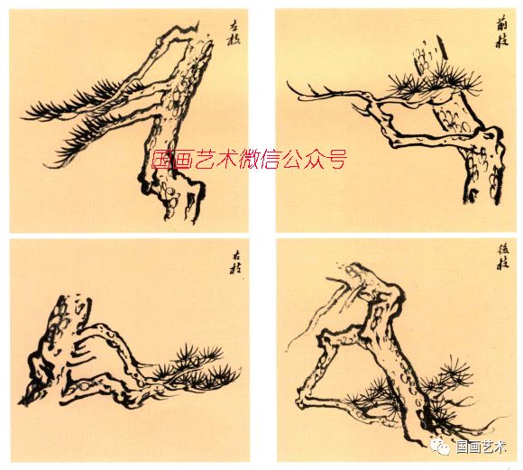 图文教程：松树的画法解析|松针|松树|松干_新浪新闻