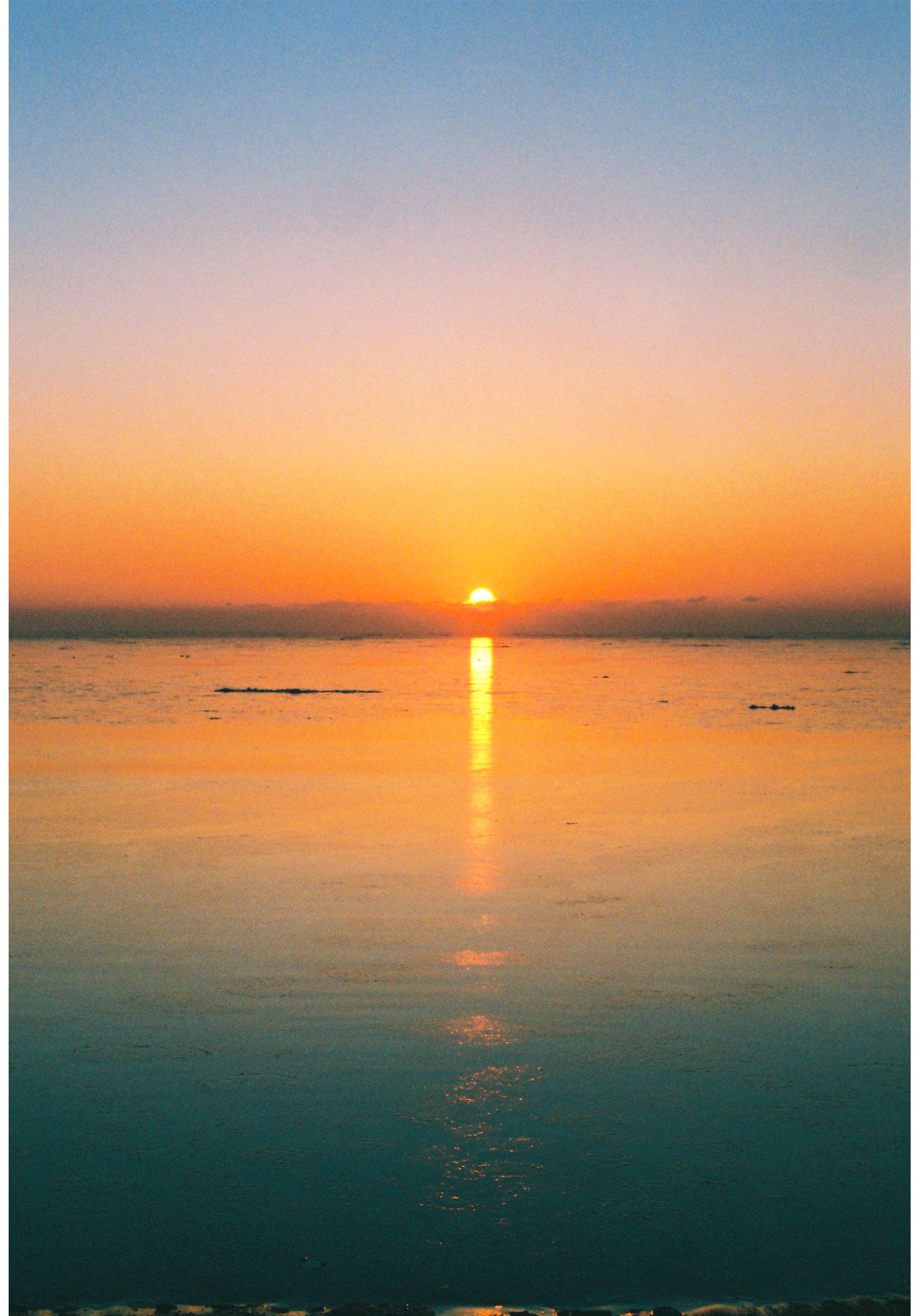 阿那亚·Aranya 推荐