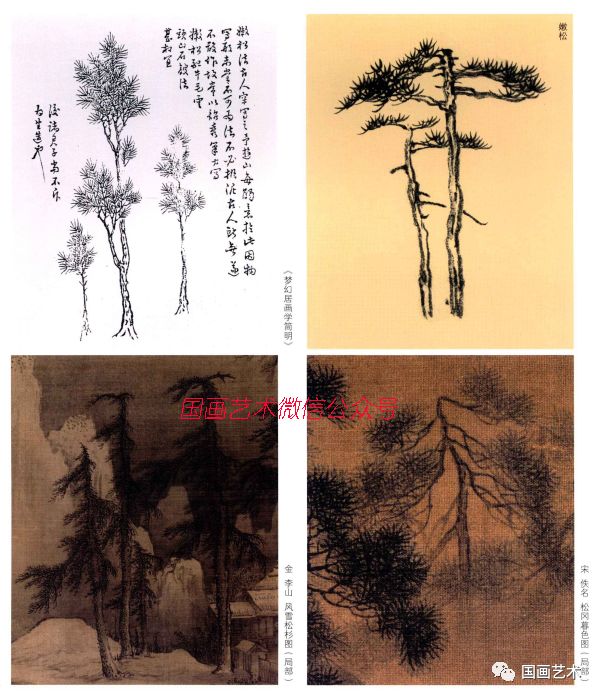 图文教程：松树的画法解析|松针|松树|松干_新浪新闻