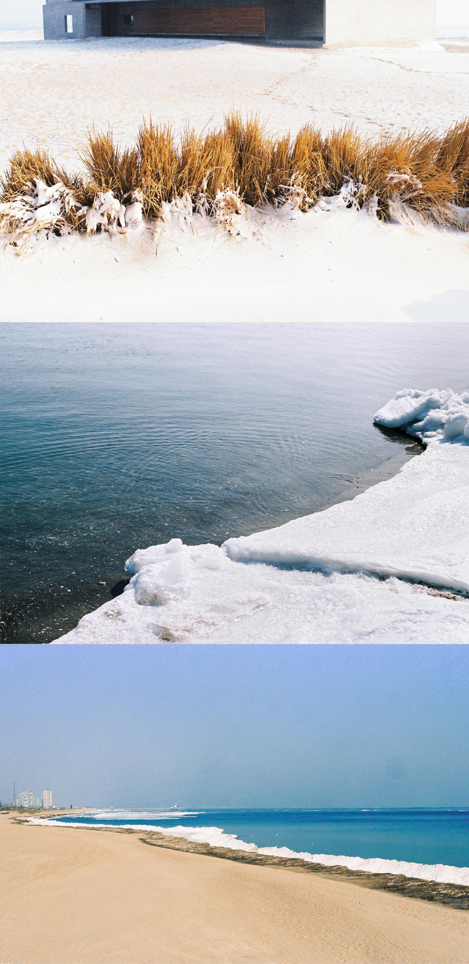 阿那亚·Aranya 推荐