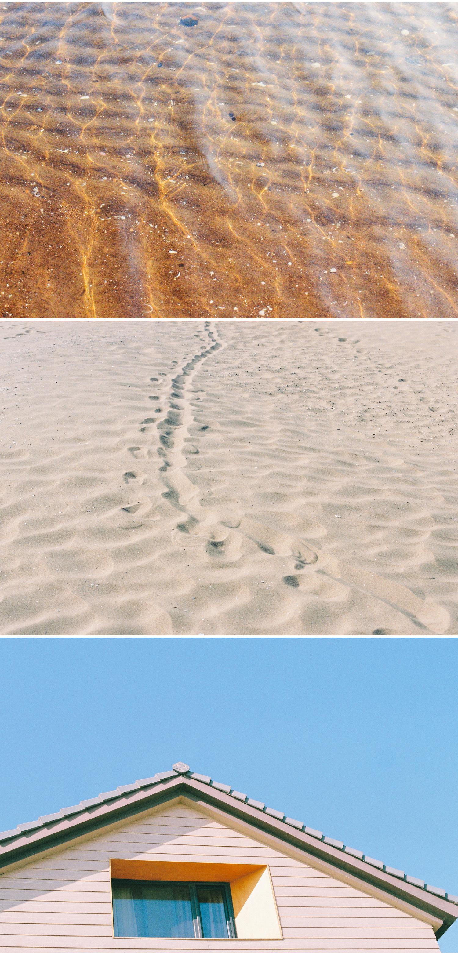 阿那亚·Aranya 推荐