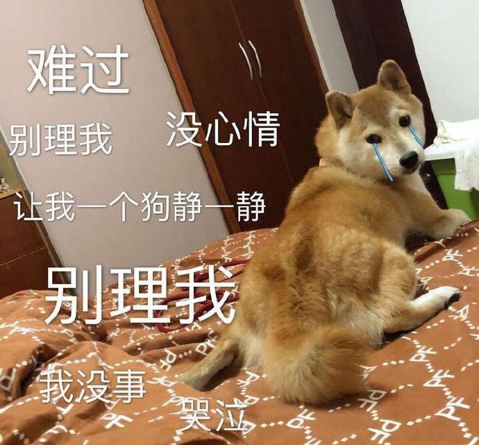 超实用的狗子表情包|狗子|表情包_新浪新闻