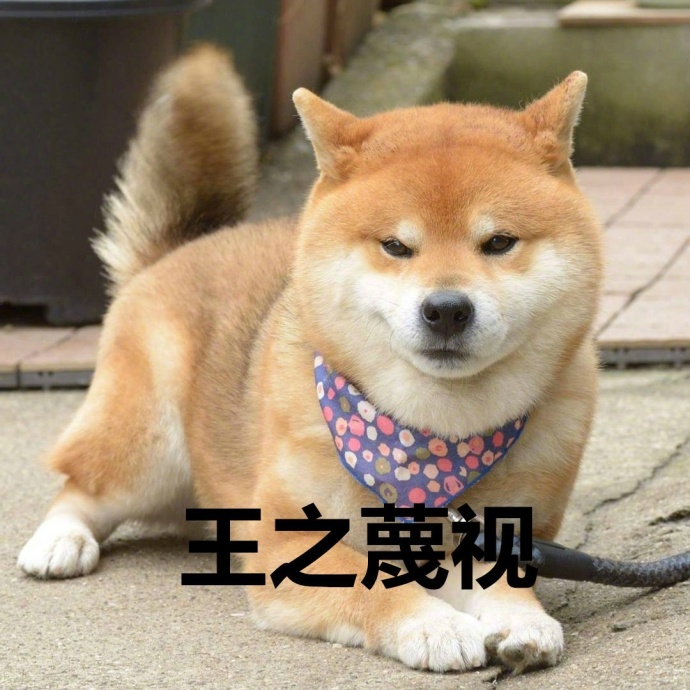 一组狗狗表情包