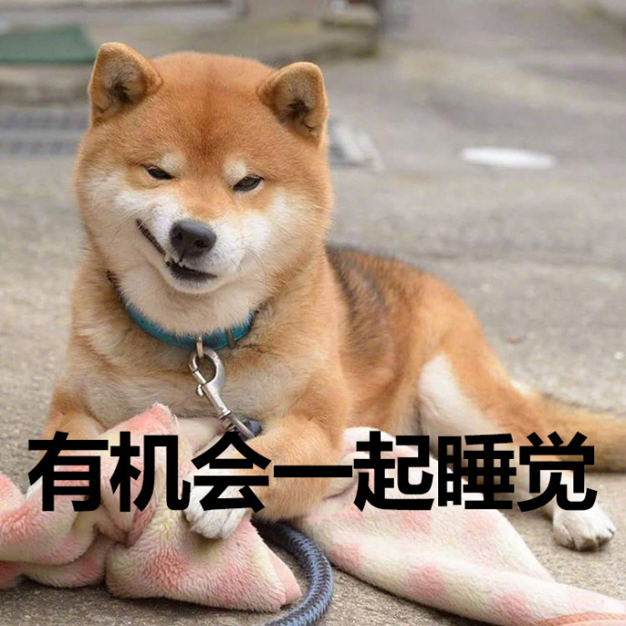 一组狗狗表情包