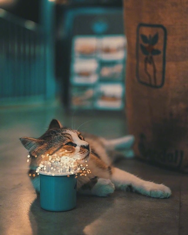 人生如茶，静心以对。Life is like tea|人生|沉淀|时光_新浪新闻