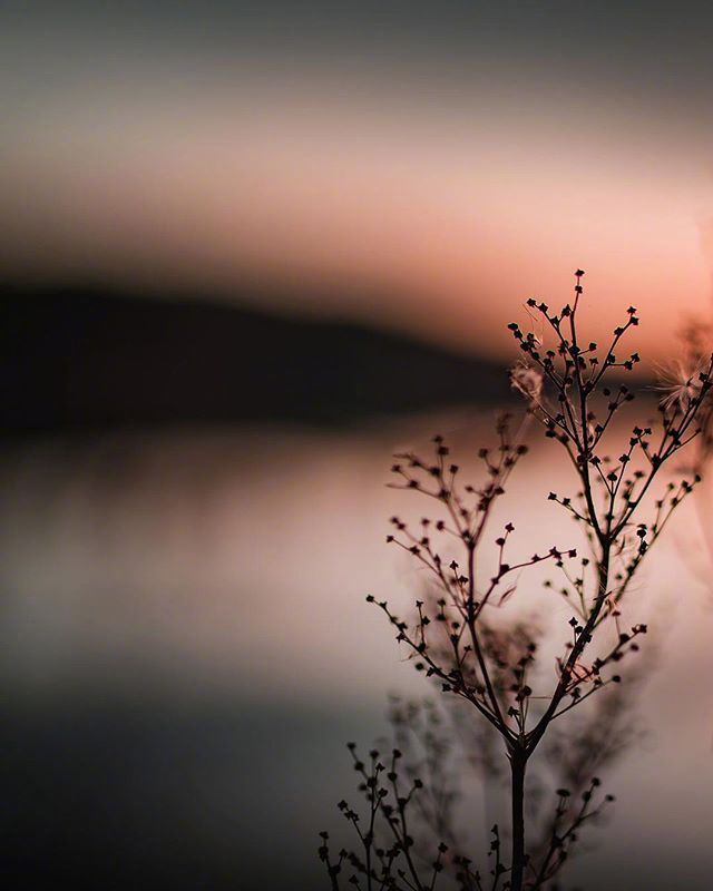 夜未央，灯火阑珊诉寒凉。秋风谁思量。此山不解此水语|水语|夜未央|秋风_新浪新闻