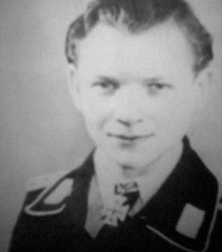 二战德国每日军人刊载「第11.28期」|掷弹兵|陆军|赫尔曼_新浪新闻