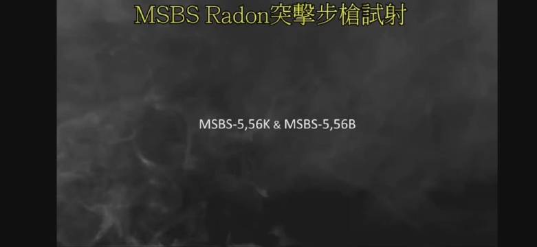 MSBS Radon突击步枪，又称模组化武器系统5|突击步枪_新浪新闻