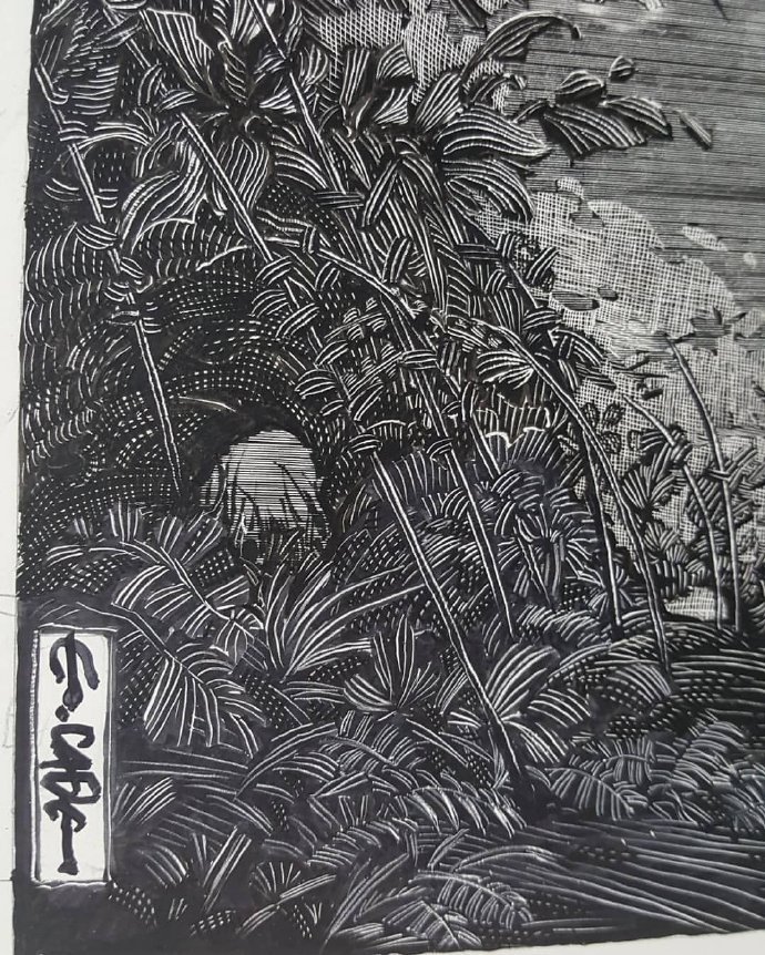 Evan Cagle_新浪新闻