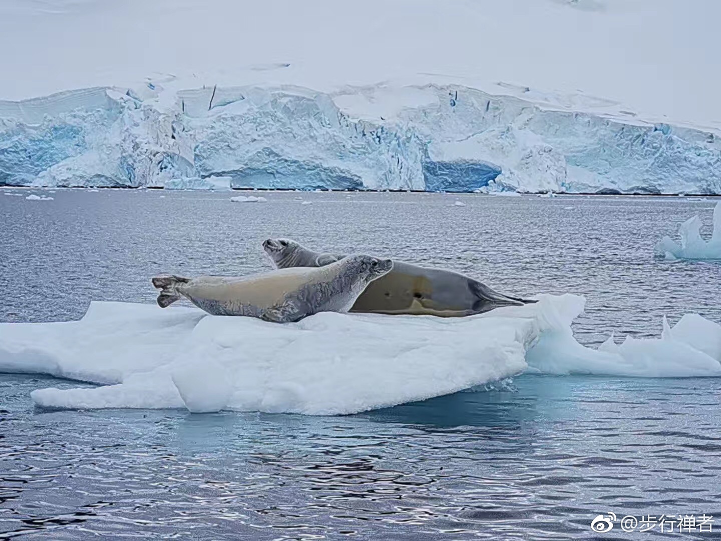 地势极而南溟深，天柱高而北辰远。 Antarctic 🇦🇶area，纯粹
