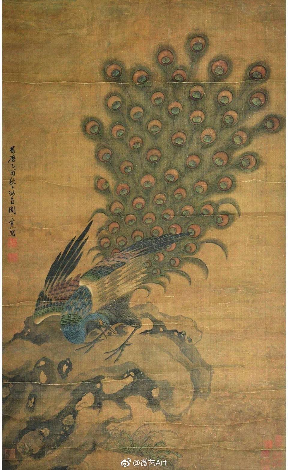 孔雀，俗称凤凰，是百鸟之王，自古以来便被人类视为珍禽异鸟|凤凰|鸟|珍禽_新浪新闻