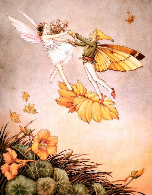 Ida Rentoul Outhwaite 是19世纪末20世纪初“插图黄金年代”的澳洲童|插图|黄金年代|童书_新浪新闻