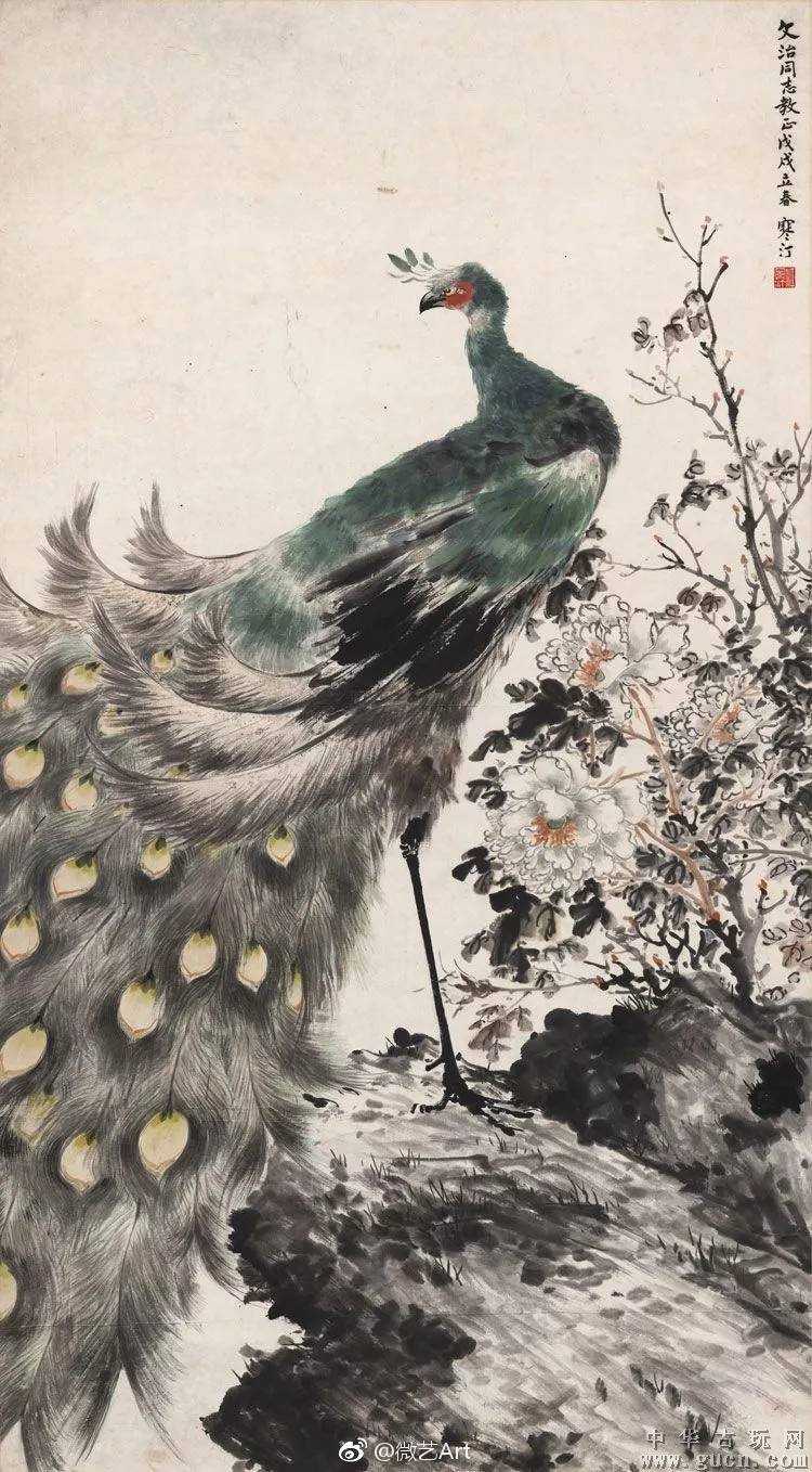 孔雀，俗称凤凰，是百鸟之王，自古以来便被人类视为珍禽异鸟