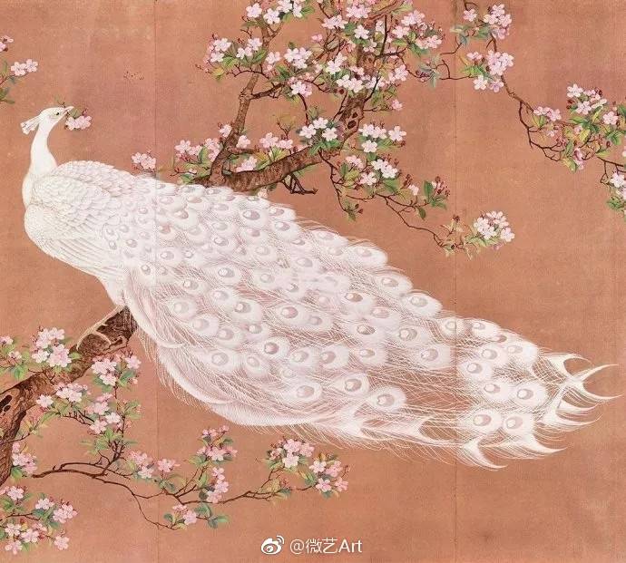 孔雀，俗称凤凰，是百鸟之王，自古以来便被人类视为珍禽异鸟|凤凰|鸟|珍禽_新浪新闻