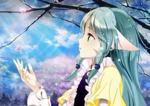 动漫中最常出现的女妖，最可爱的是狐妖，兔女郎还是猫耳娘呢？