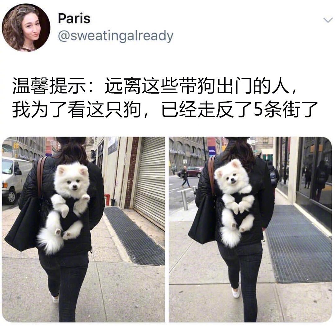 涨姿势！来自专（sha）业（diao）养狗人士的小贴士|养狗|小贴士|姿势_新浪新闻