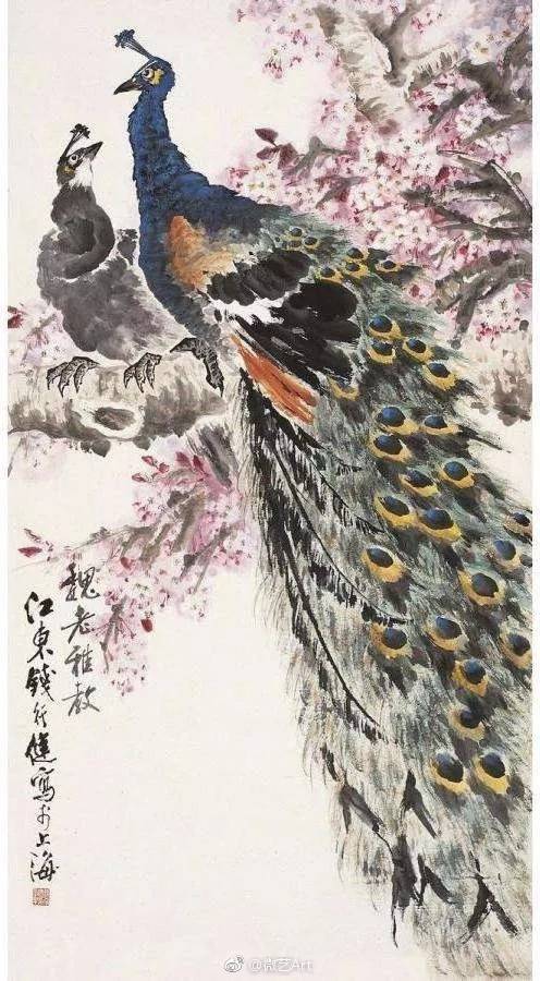 孔雀，俗称凤凰，是百鸟之王，自古以来便被人类视为珍禽异鸟