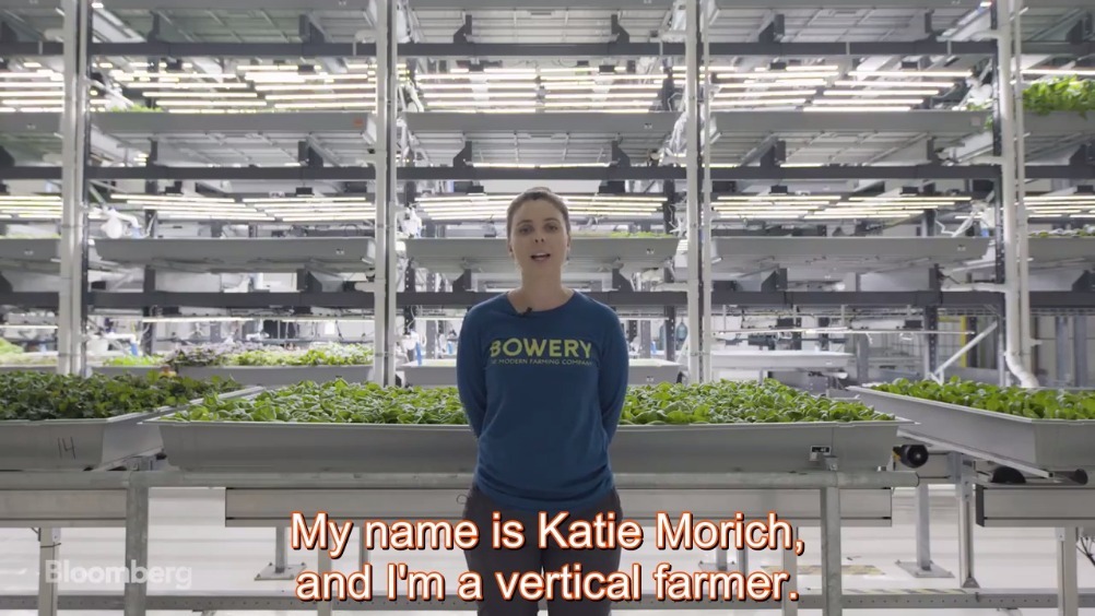 This High-Tech Farmer Grows Kale in a Factory_新浪新闻