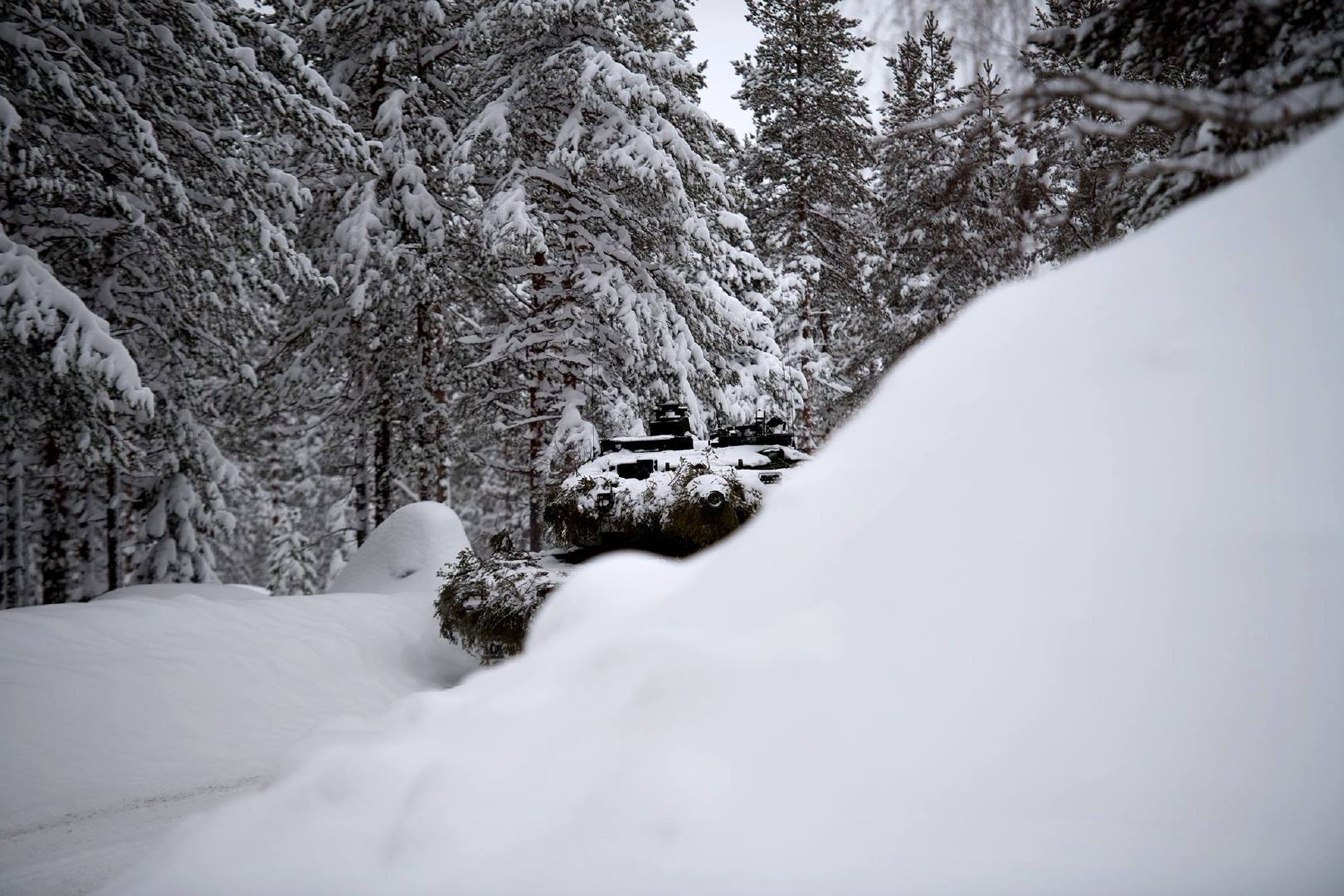 参加2019北风演习的瑞典陆军北博尔腾团（I19）192机械化营的全部装备|瑞典|主战坦克|博尔_新浪新闻