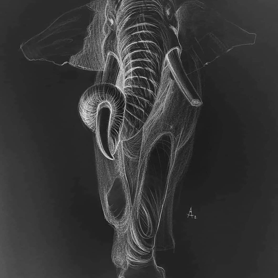 艺术家ANDREY SAMARIN