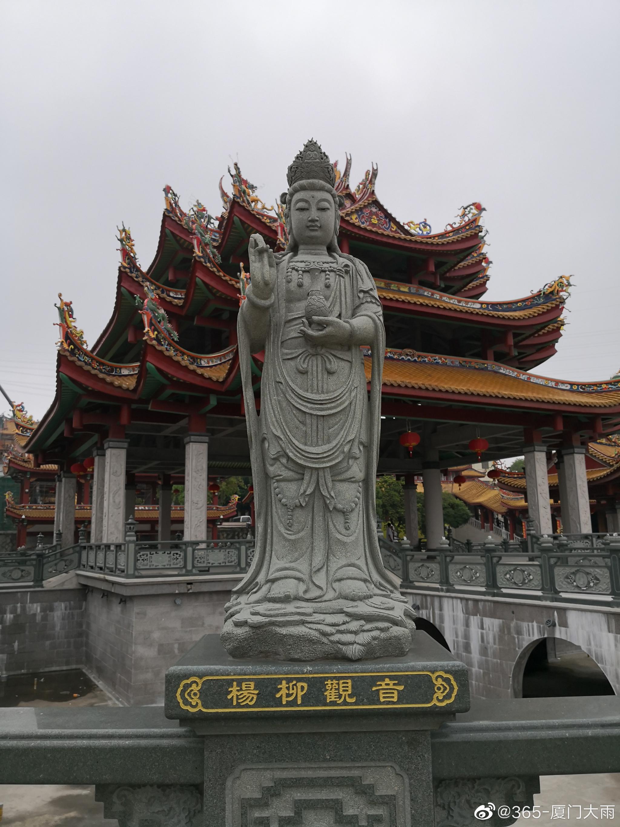观自在菩萨，行深般若波罗蜜多时，照见五蕴皆空，度一切苦厄|舍利子|般若|波罗_新浪新闻